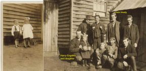 The Kennedy Tree is Dead – Ned Kelly The True Story