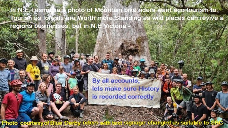 The Kennedy Tree is Dead – Ned Kelly The True Story
