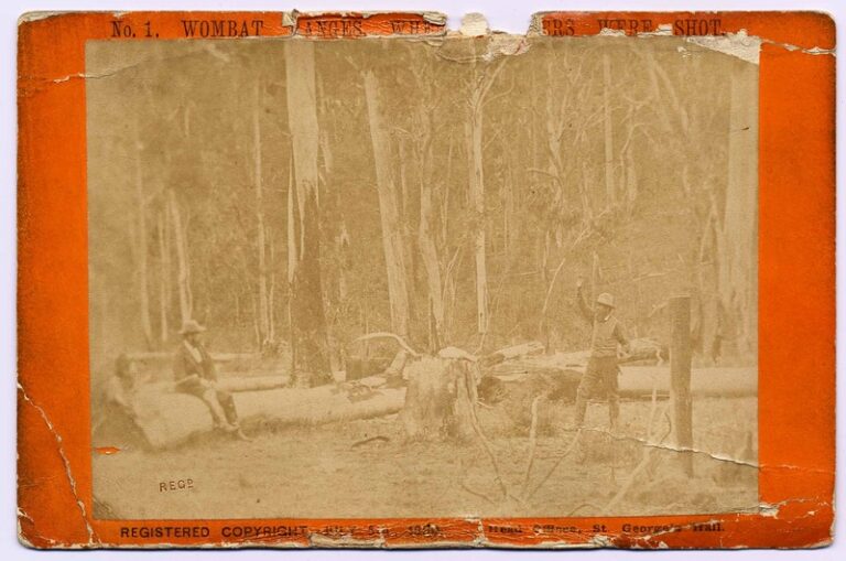 Figuring out Stringybark Creek is easy… Part Two: Correct orientation of the Burman Photos – Ned ...