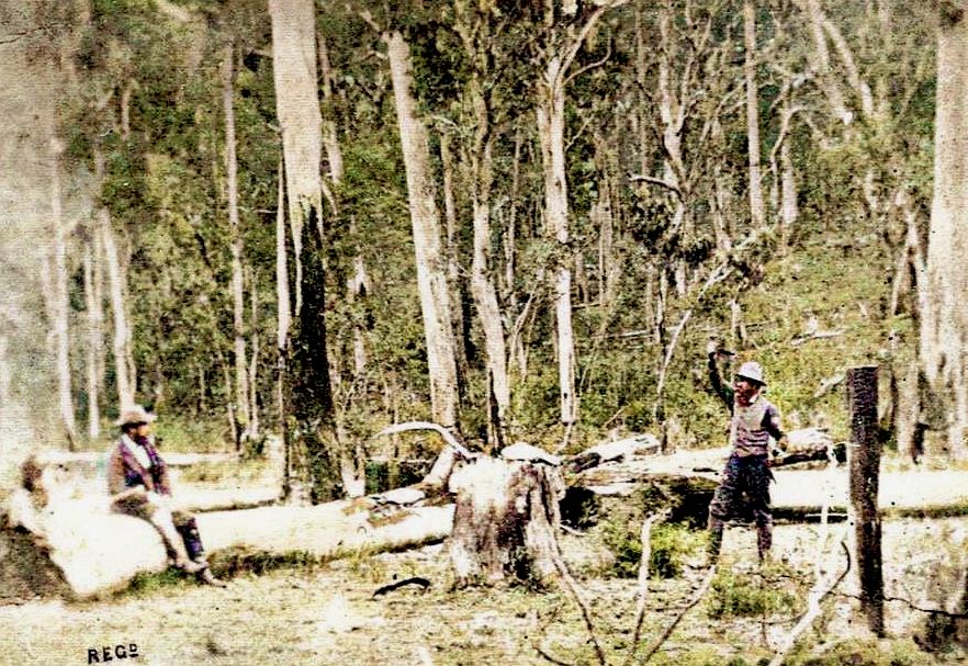 The Fitzpatrick Conspiracy : Part Three – Ned Kelly The True Story