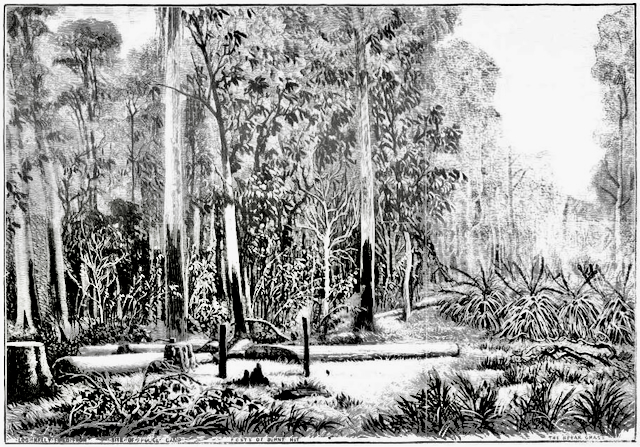 The Correct orientation of the Burman Photos : Without a Shadow of a ...