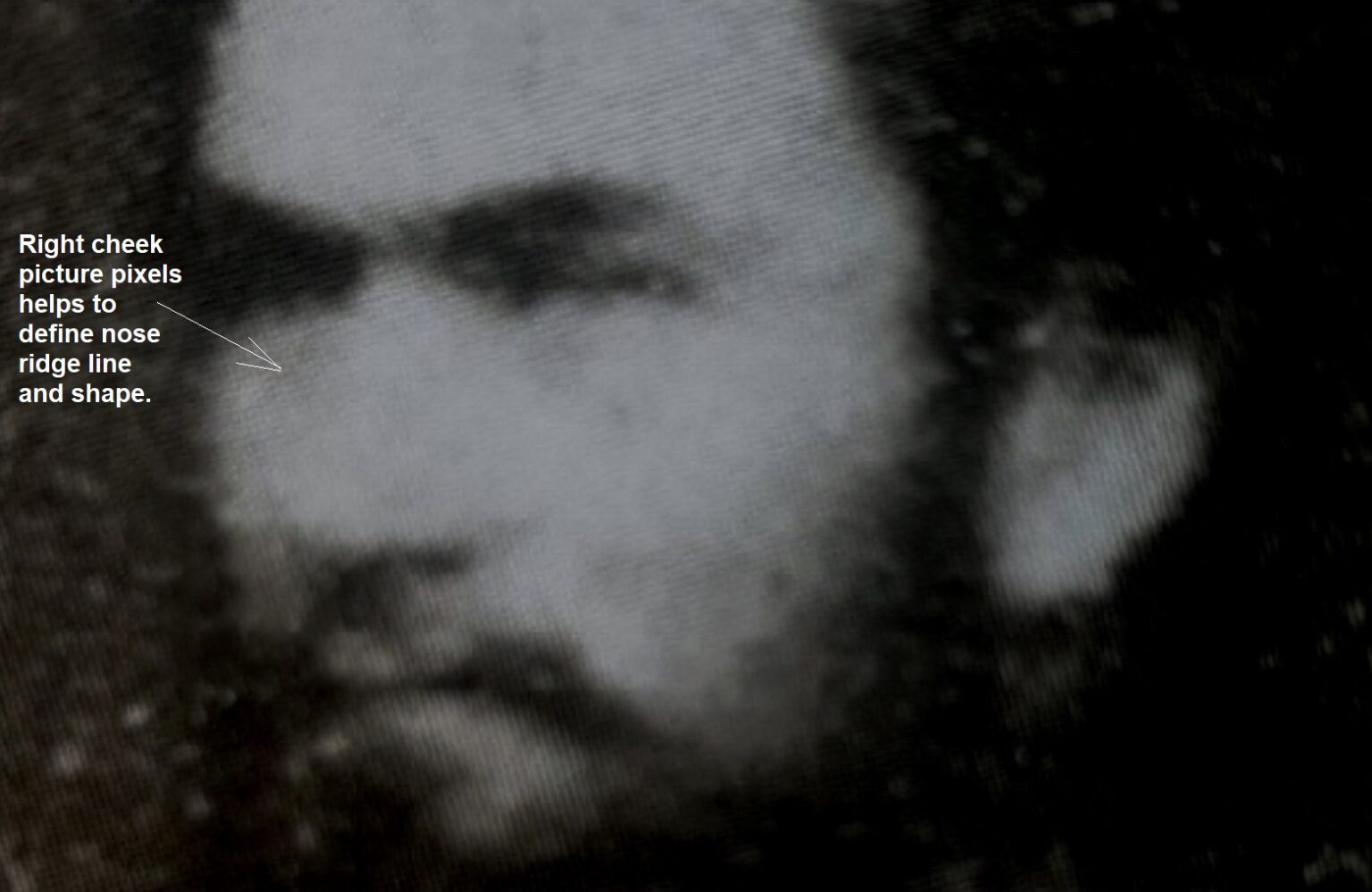 The Incredible True Story of Boxing Ned – Ned Kelly The True Story